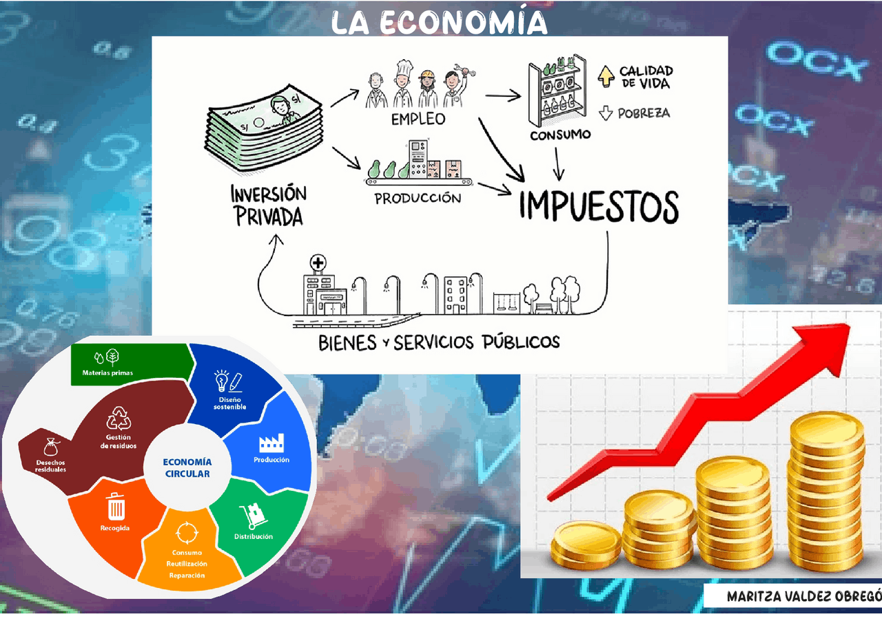 INFOGRAFIA ECONOMIA - DERECHO | Ejercicios de Economía | Docsity
