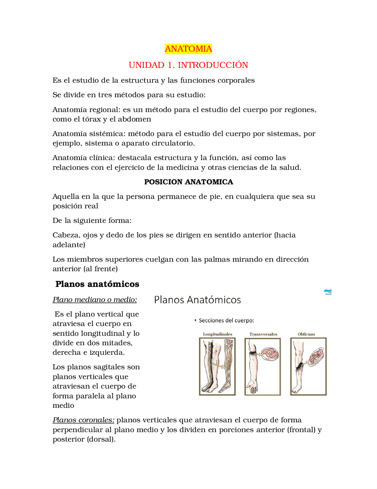 UNIDAD 1 ANATOMÍA :) | Apuntes de Anatomía | Docsity