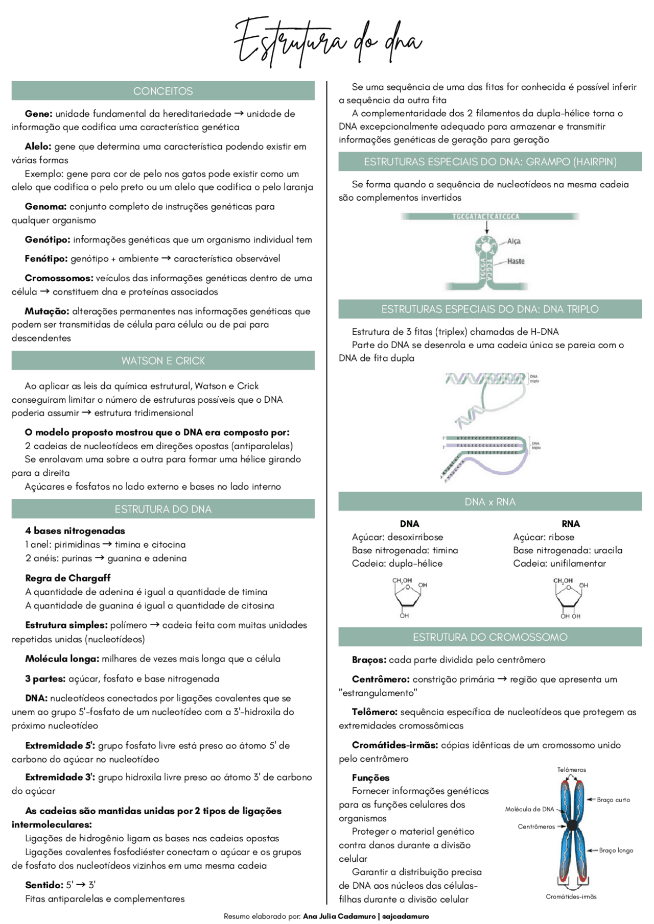 Estrutura e Função do DNA: A Cadeia da Vida, Notas de aula Genética🥯 ...