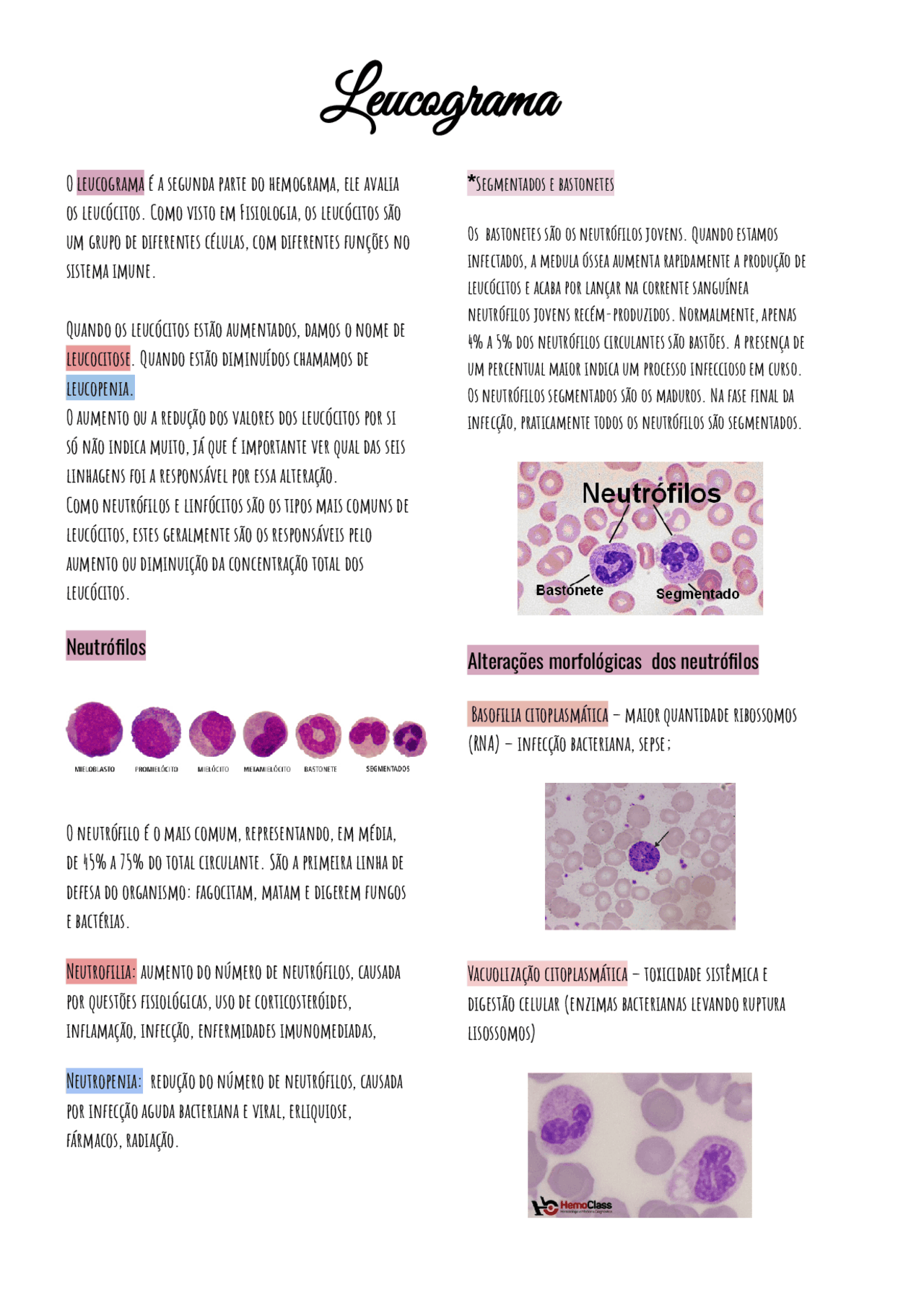 Leucograma LEUCOGRAMA Vídeo 2 Da Serie Parâmetros Do Hemograma