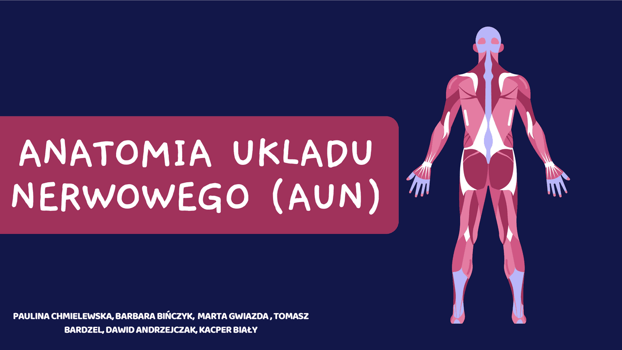 układ nerwowy AUN, budowa i funkcje | Prezentacje Psychologia | Docsity