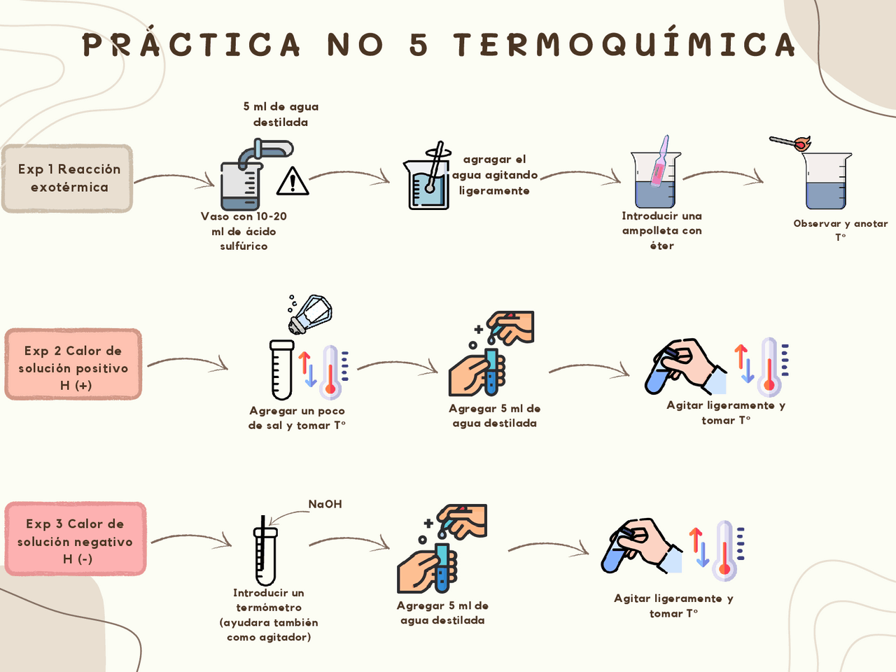 Práctica 5 Termoquímica | Esquemas y mapas conceptuales de Fisicoquímica | Docsity