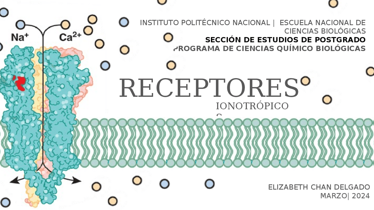 RECEPTORES IONOTROPICOS O DE CANALES IONICOS | Esquemas y mapas conceptuales de Medicina | Docsity