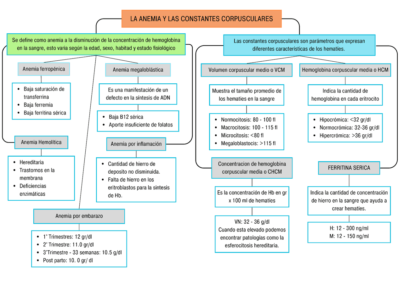 La anemia y las constantes de corpusculares | Esquemas y mapas ...