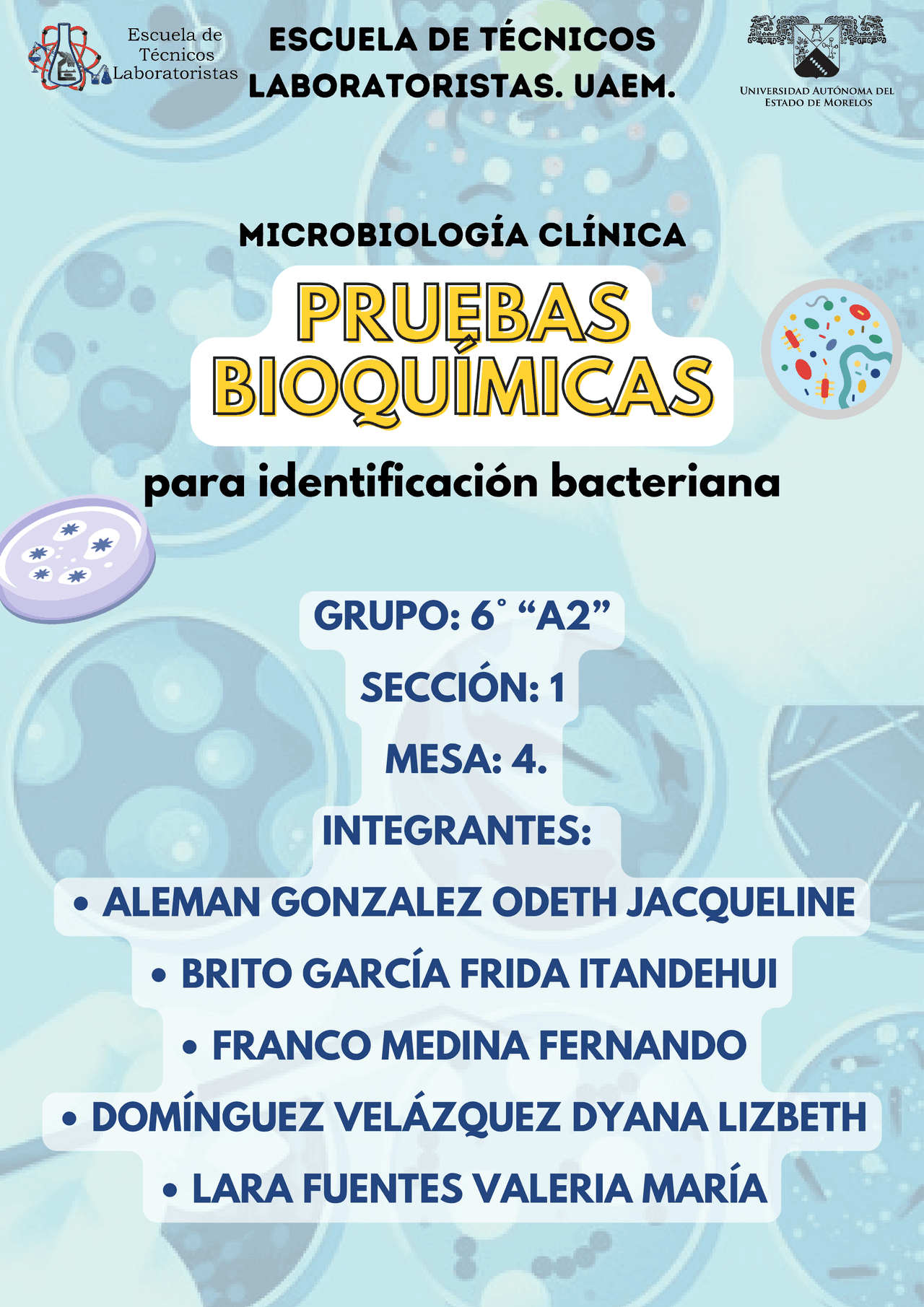 Pruebas bioquímicas para la identificacion de bacterias | Esquemas y mapas conceptuales de ...