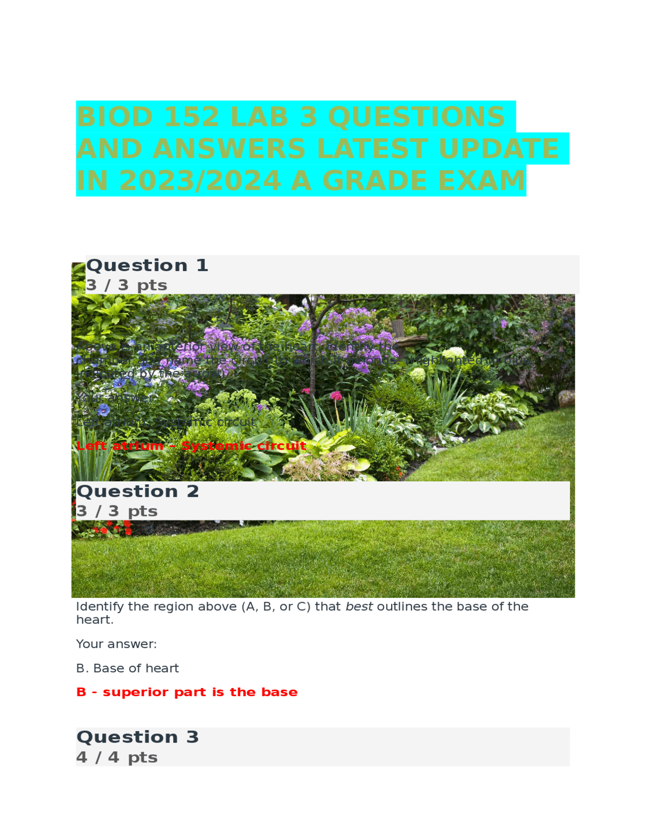 Lab 3 Questions and Answers for BIOD 152: Anatomy of the Heart and Neck | Exams Nursing | Docsity