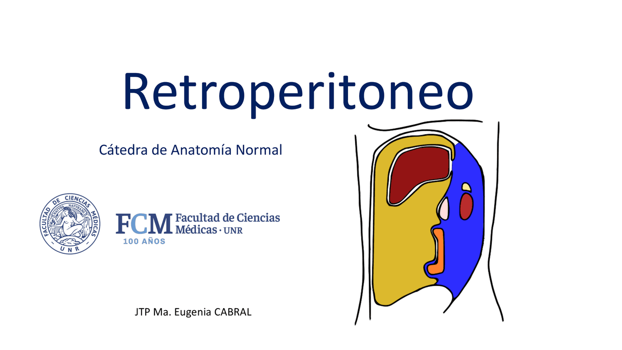 Anatomía del Retroperitoneo | Esquemas y mapas conceptuales de Anatomía ...