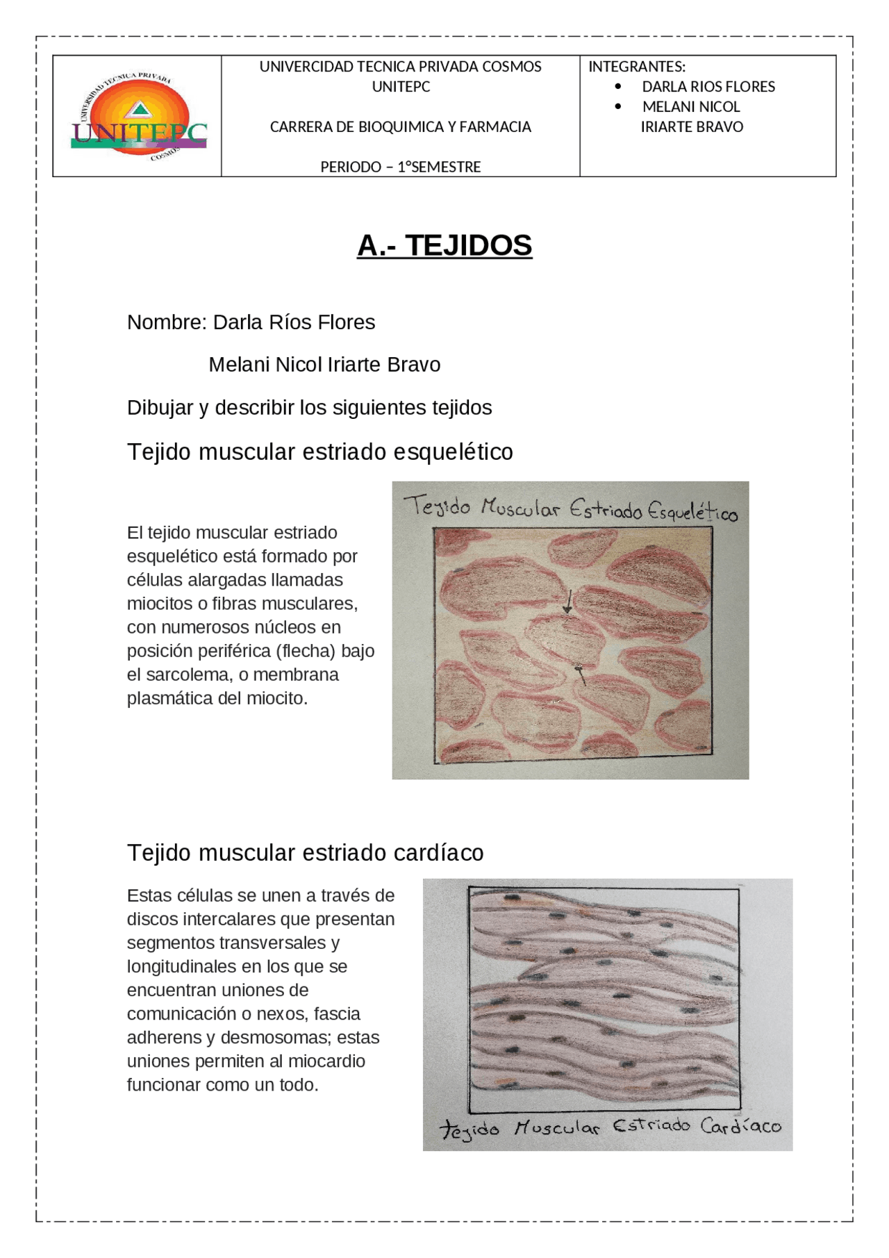 Tejidos Biológicos: Estructura y Función - Prof. Maria | Resúmenes de Biología | Docsity