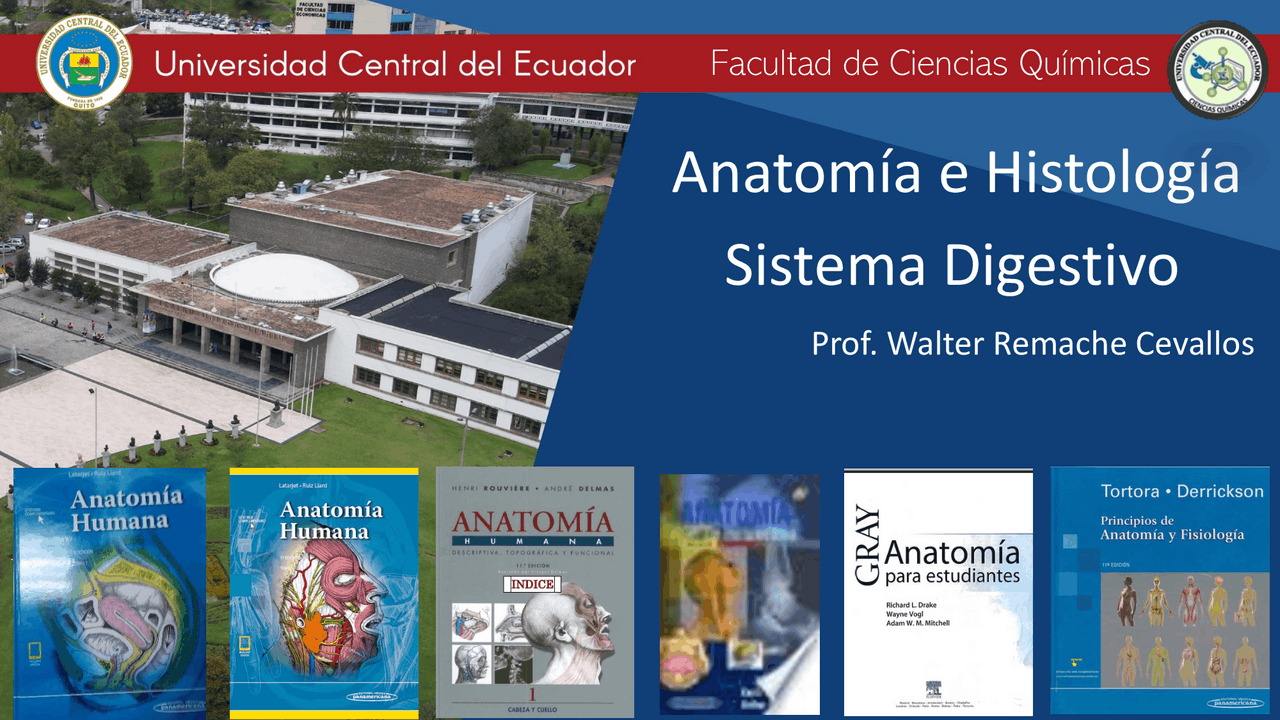 Anatomía del sistema digestivo: Paladar, dientes, glándulas salivales y ...