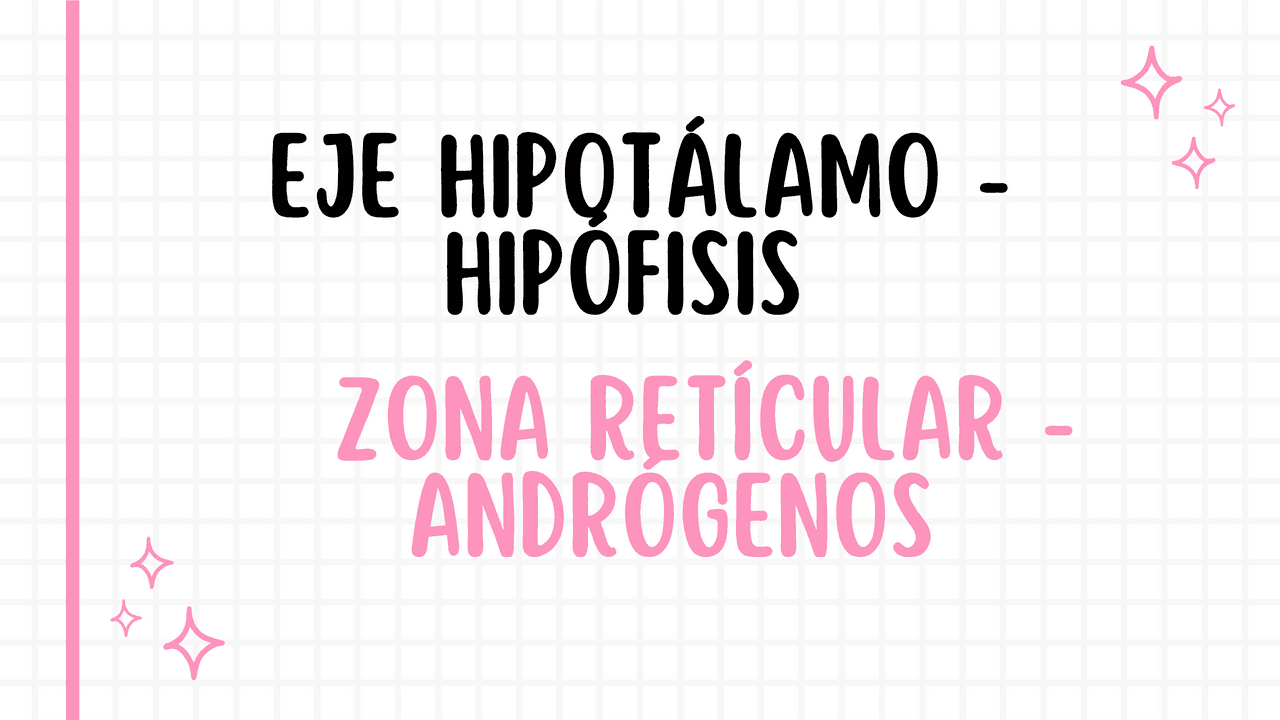 androgenos suprarrenales | Esquemas y mapas conceptuales de Fisiología ...