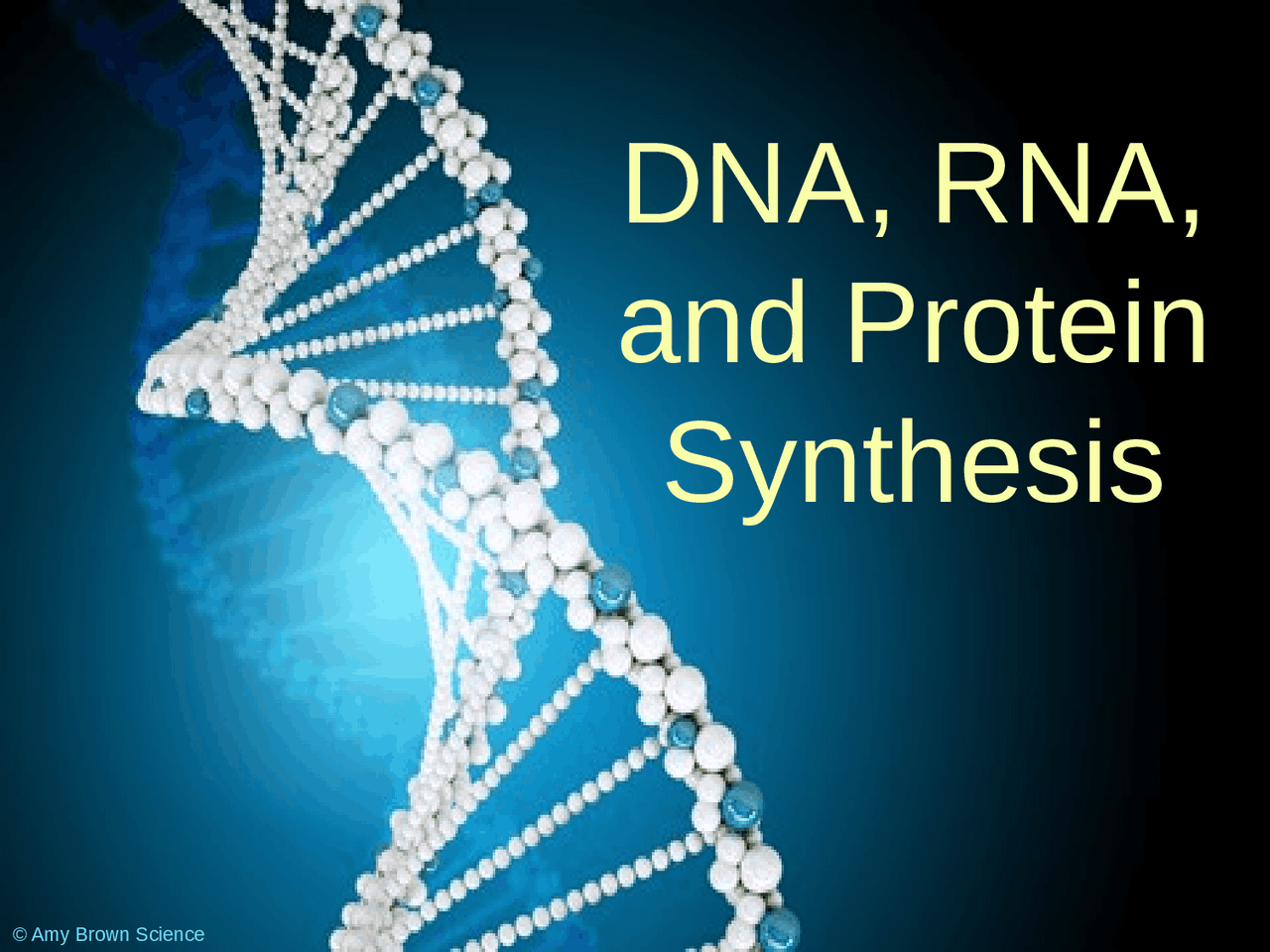 Protein Synthesis: The Genetic Code and Translation | Summaries ...