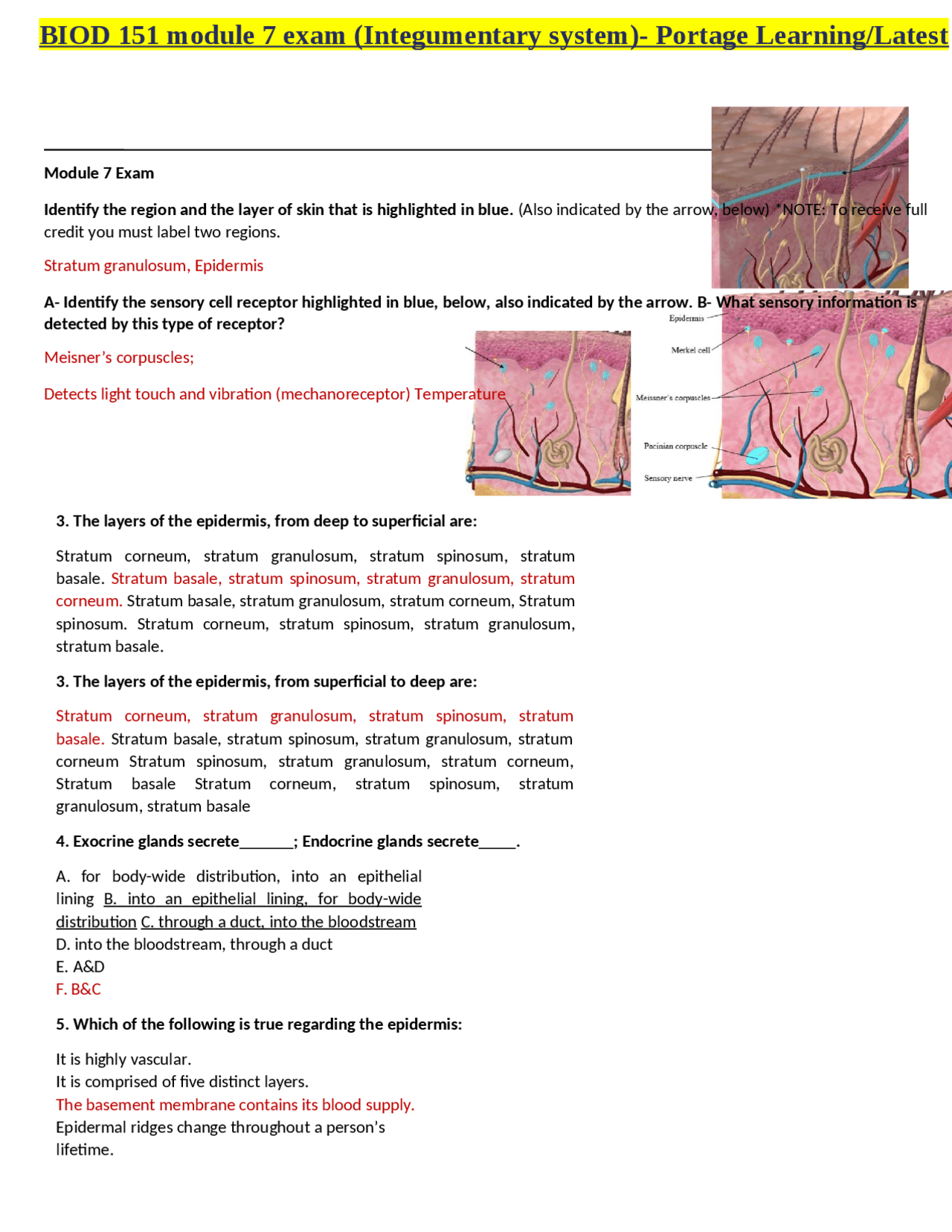 BIOD 151 module 7 exam (Integumentary system)- Portage Learning/Latest ...