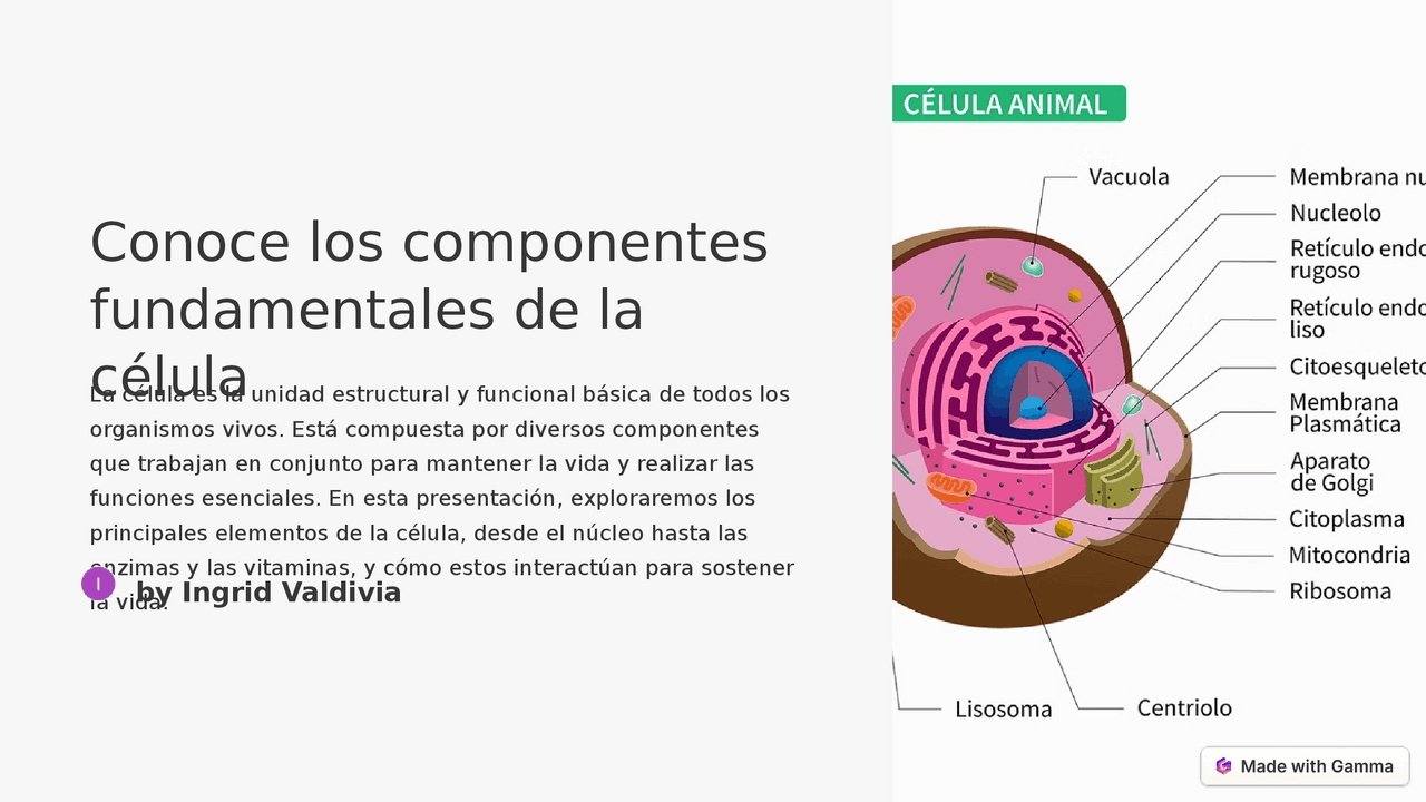 Conoce los componentes fundamentales de la célula | Esquemas y mapas ...