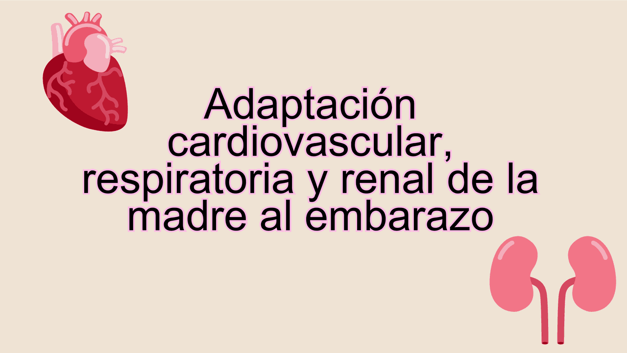 adpatacion cardiobascular, renal y respiratorio en el embarazo ...