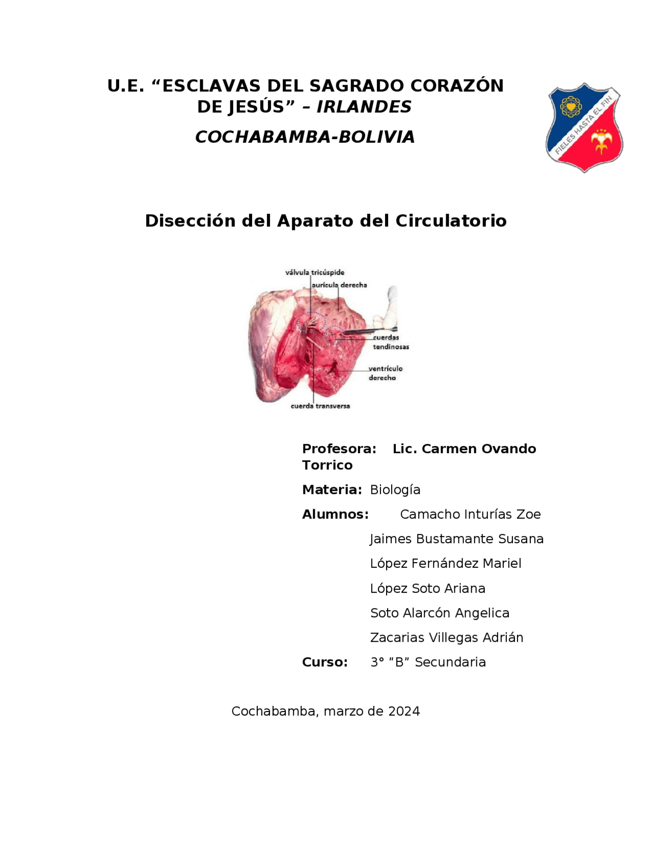 DISECCION DEL CORAZON DE VACA | Monografías, Ensayos de Biología | Docsity