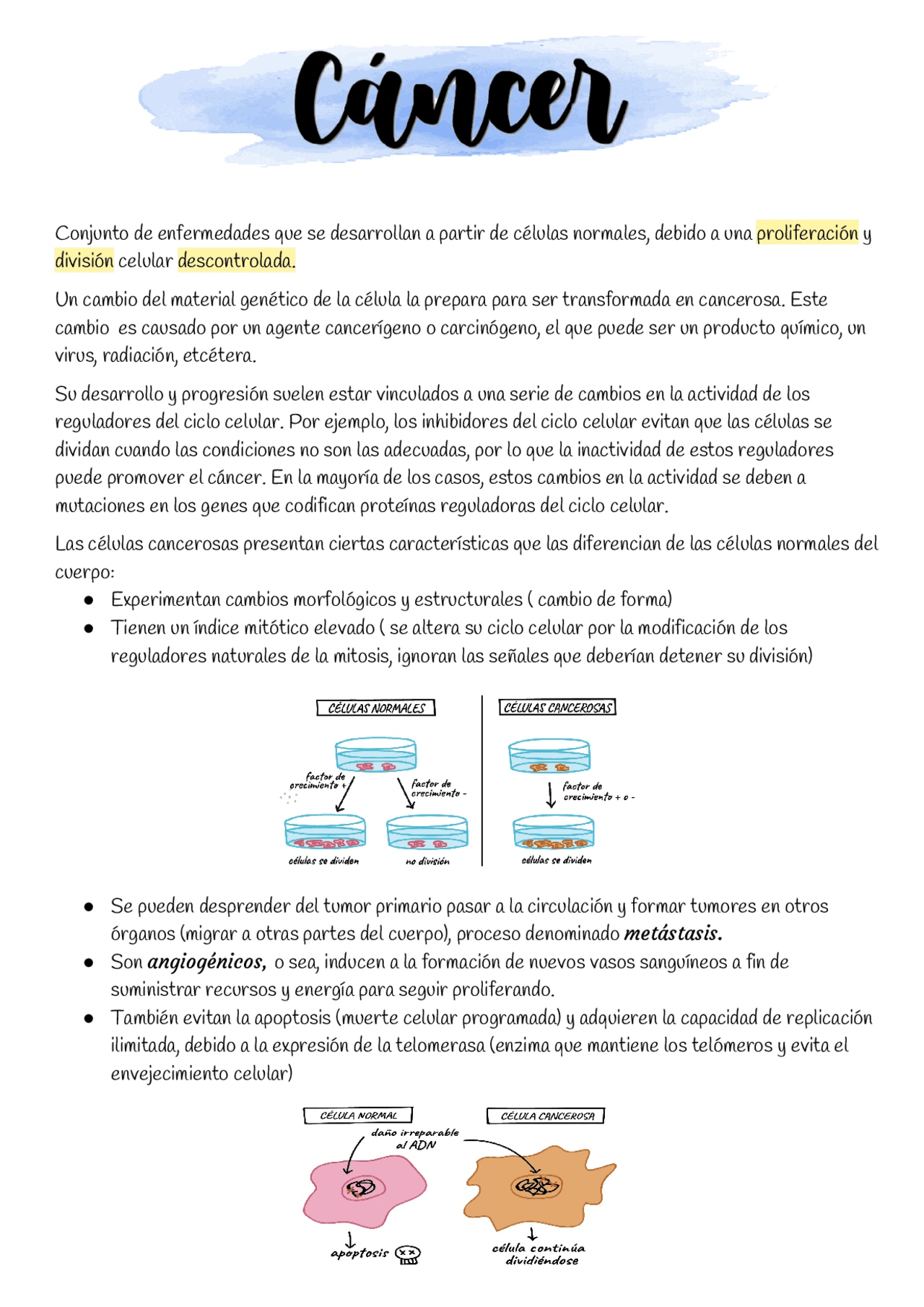Proliferación y desarrollo del cáncer: causas, características y ...