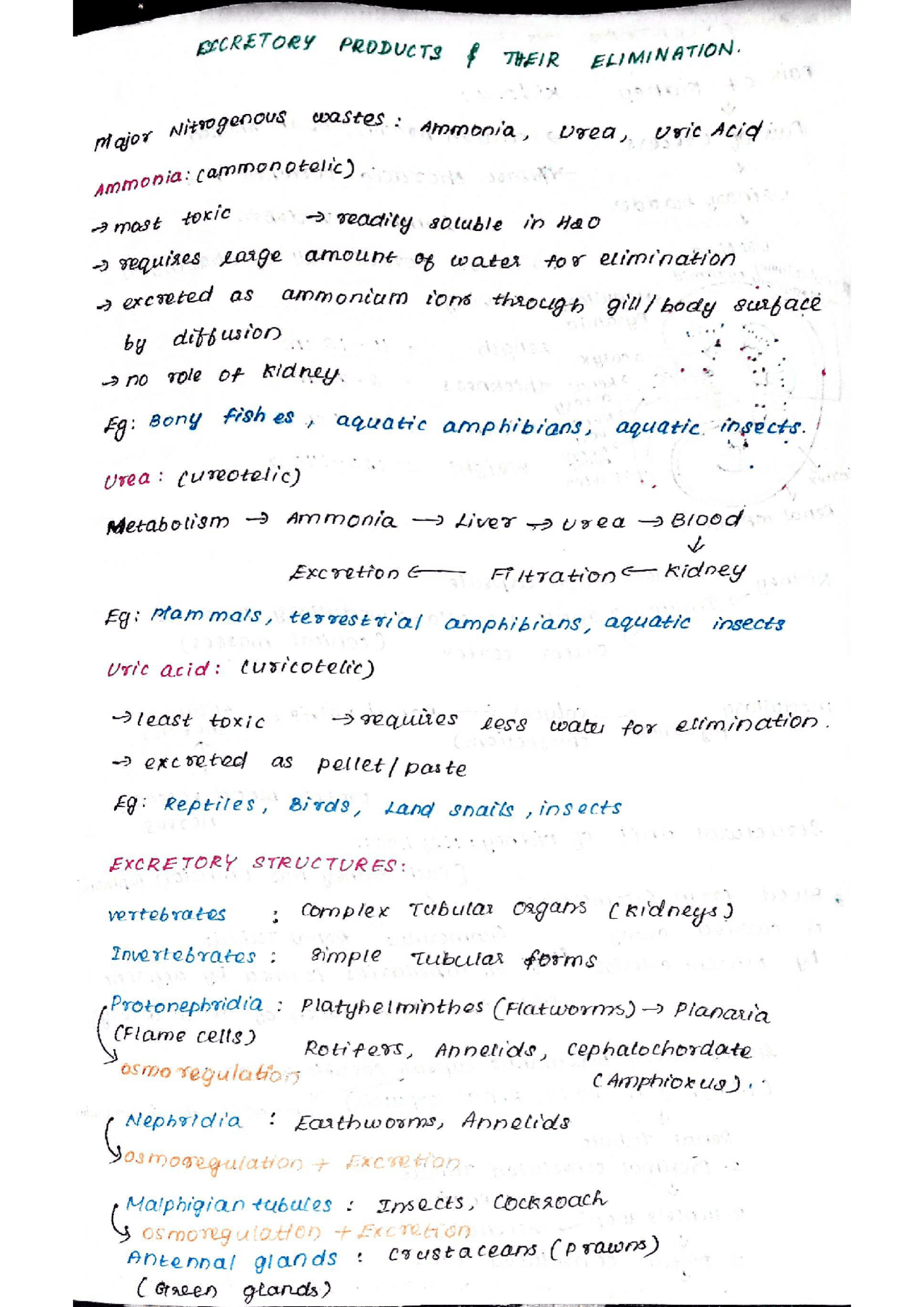 Excretory Products And their Elimination NCERT class XI short notes ...