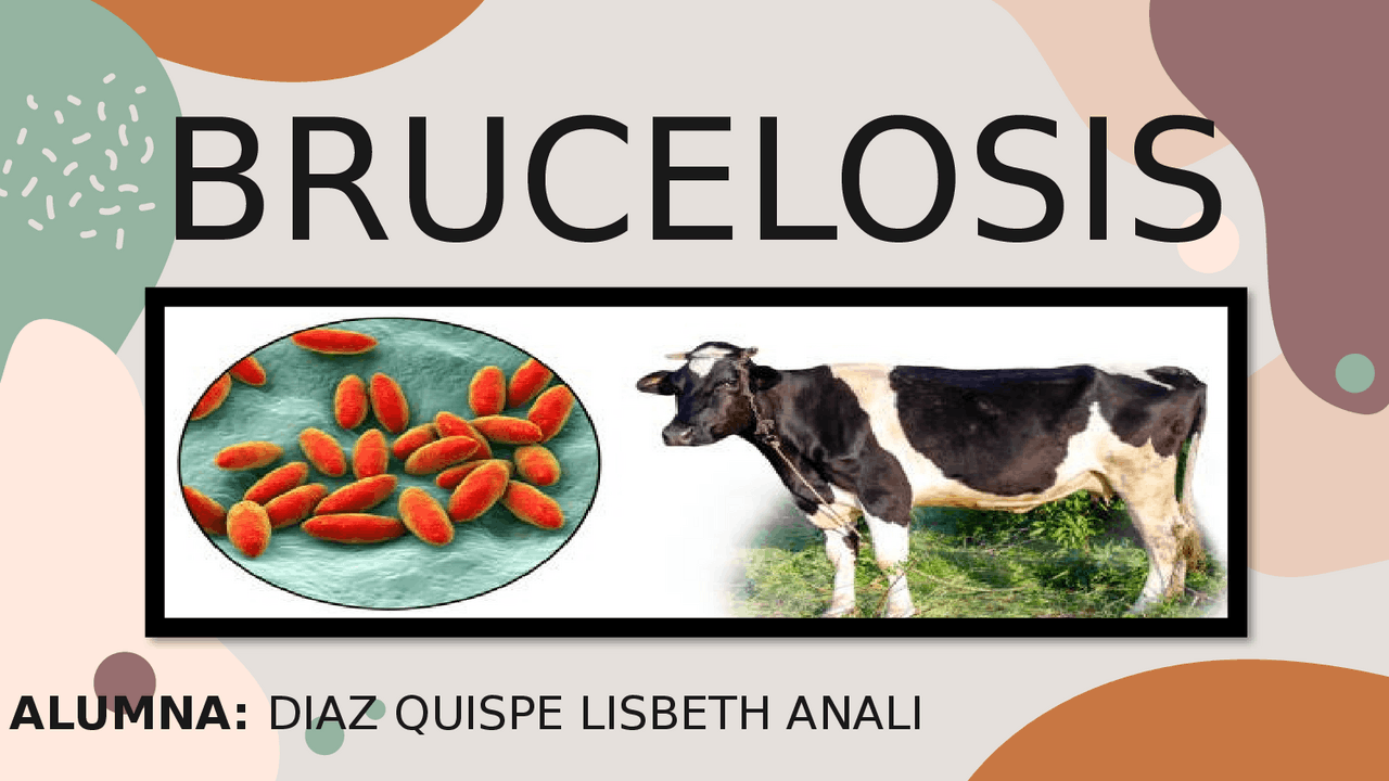 Brucelosis: Diagnóstico y Tratamiento de una Infección Poco Común ...