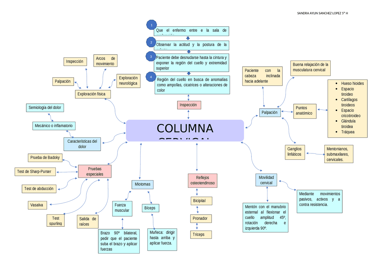 columna lumbar- goniometria | Esquemas y mapas conceptuales de Traumatología | Docsity