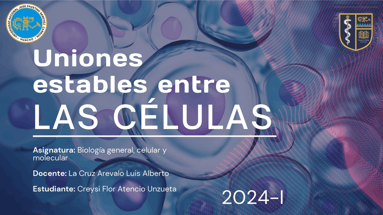 Uniones estables entre las células | Diapositivas de Biología Celular ...