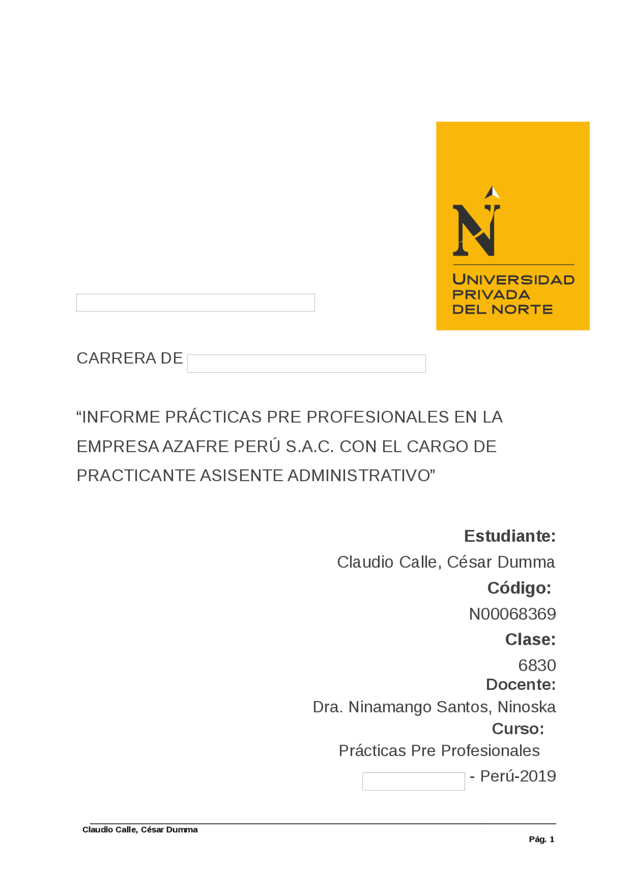 Informe de Practicas Profesionales de la Universidad Peruana del Norte | Resúmenes de ...