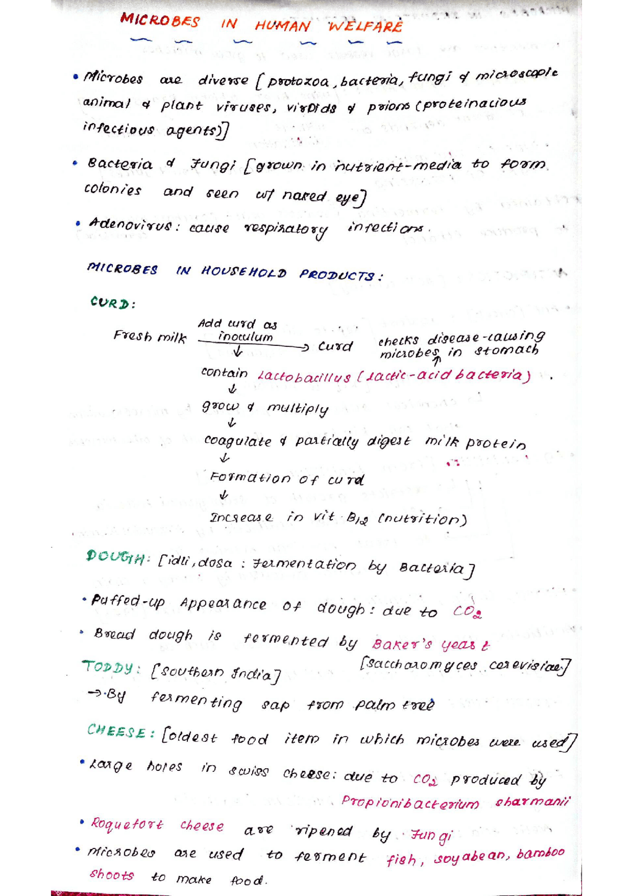 Microbes in Human Welfare | Cheat Sheet Zoology | Docsity