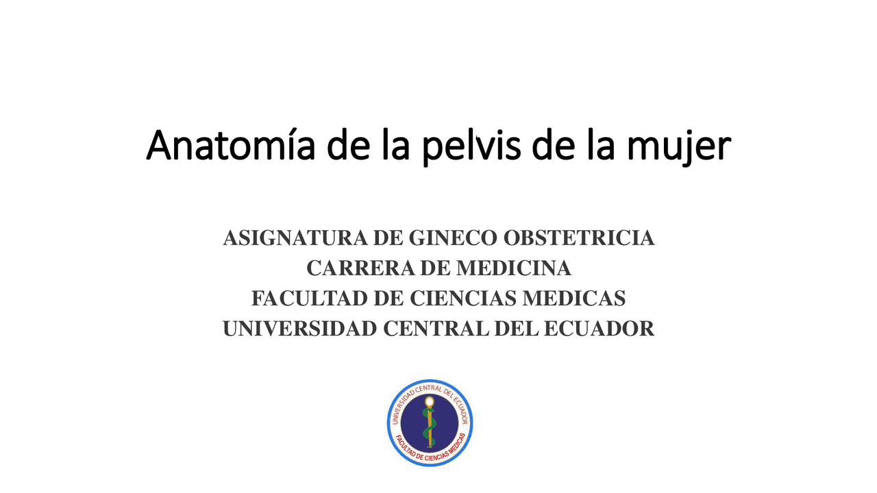 Anatomía de la pelvis de la mujer | Esquemas y mapas conceptuales de ...