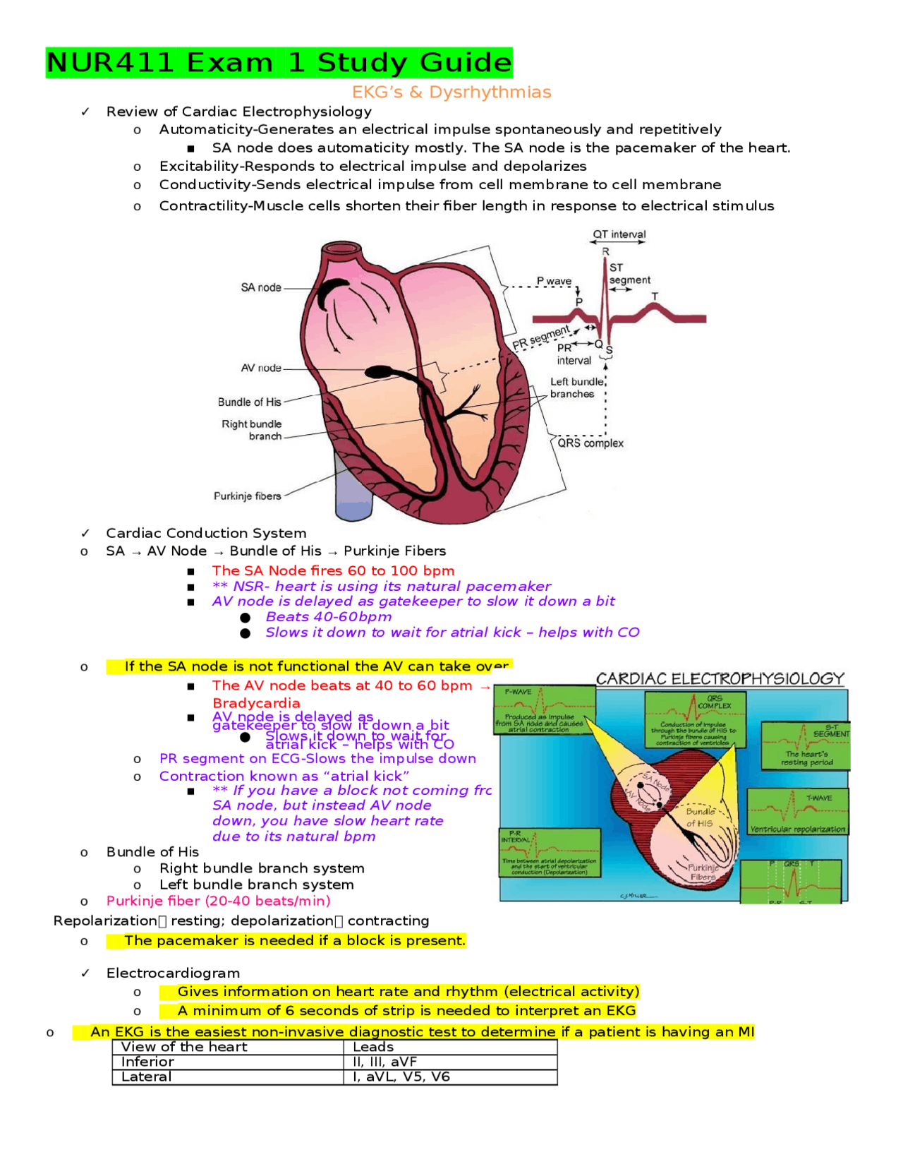 Understanding Heart Rates and Rhythm: ECG Interpretation and Treatment ...