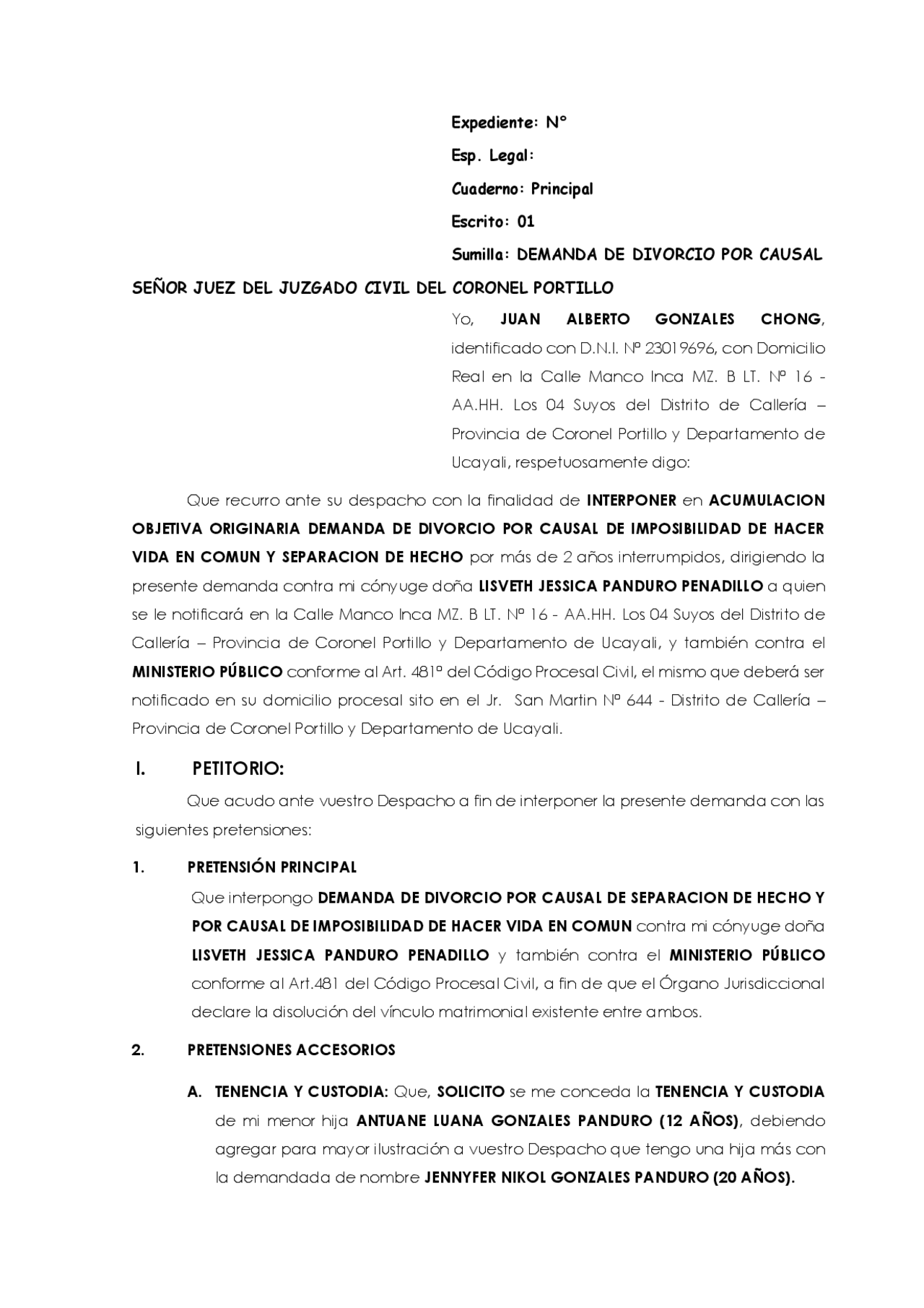 DEMANDA DE DIVORCIO POR CAUSAL | Monografías, Ensayos de Derecho Civil ...