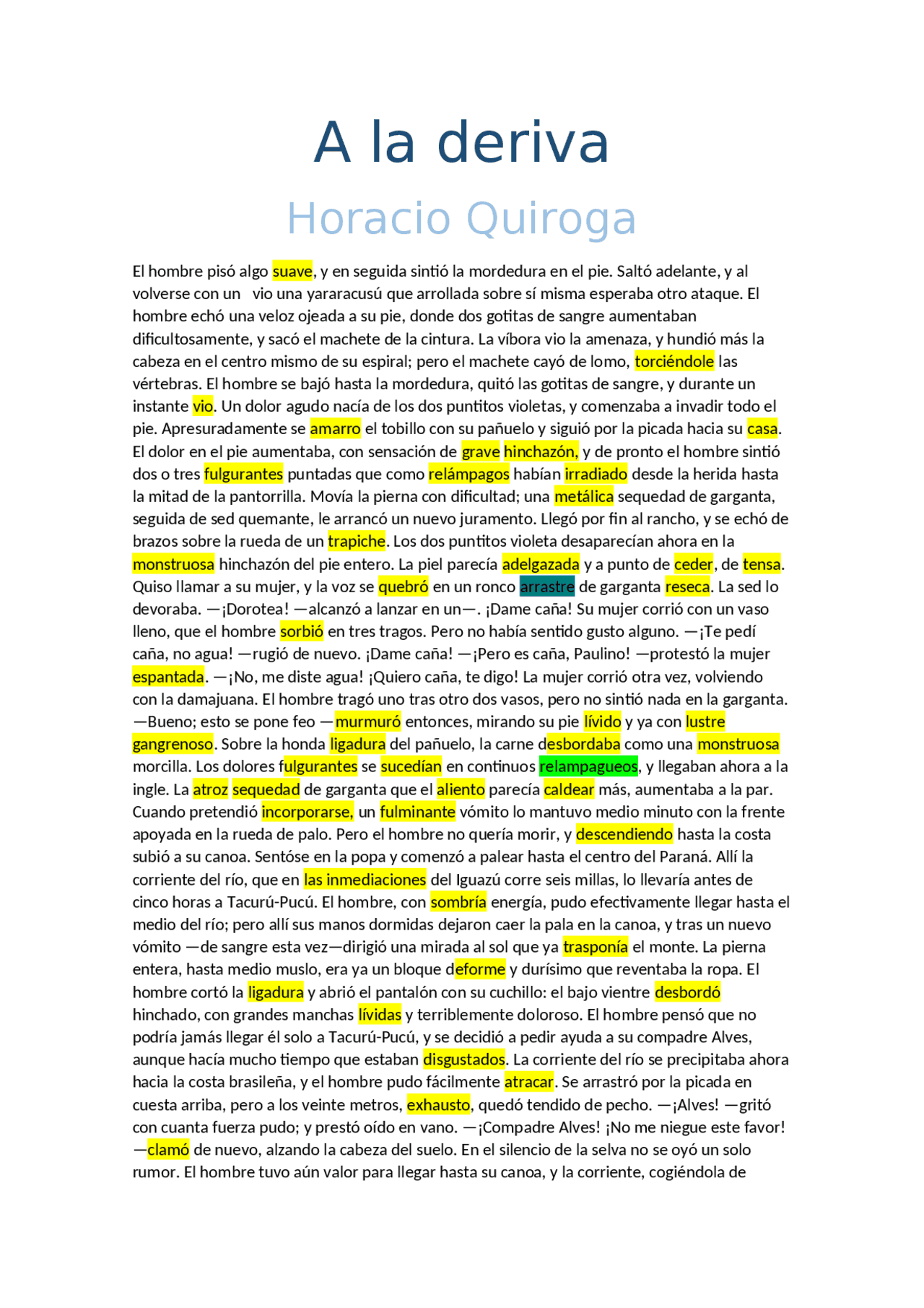 RESUEMN DE A LA DERIVA | Resúmenes de Lengua Portuguesa | Docsity