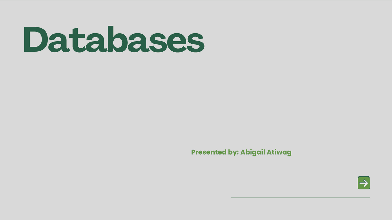 Databases: Managing and Organizing Data Efficiently | Slides Computer science | Docsity