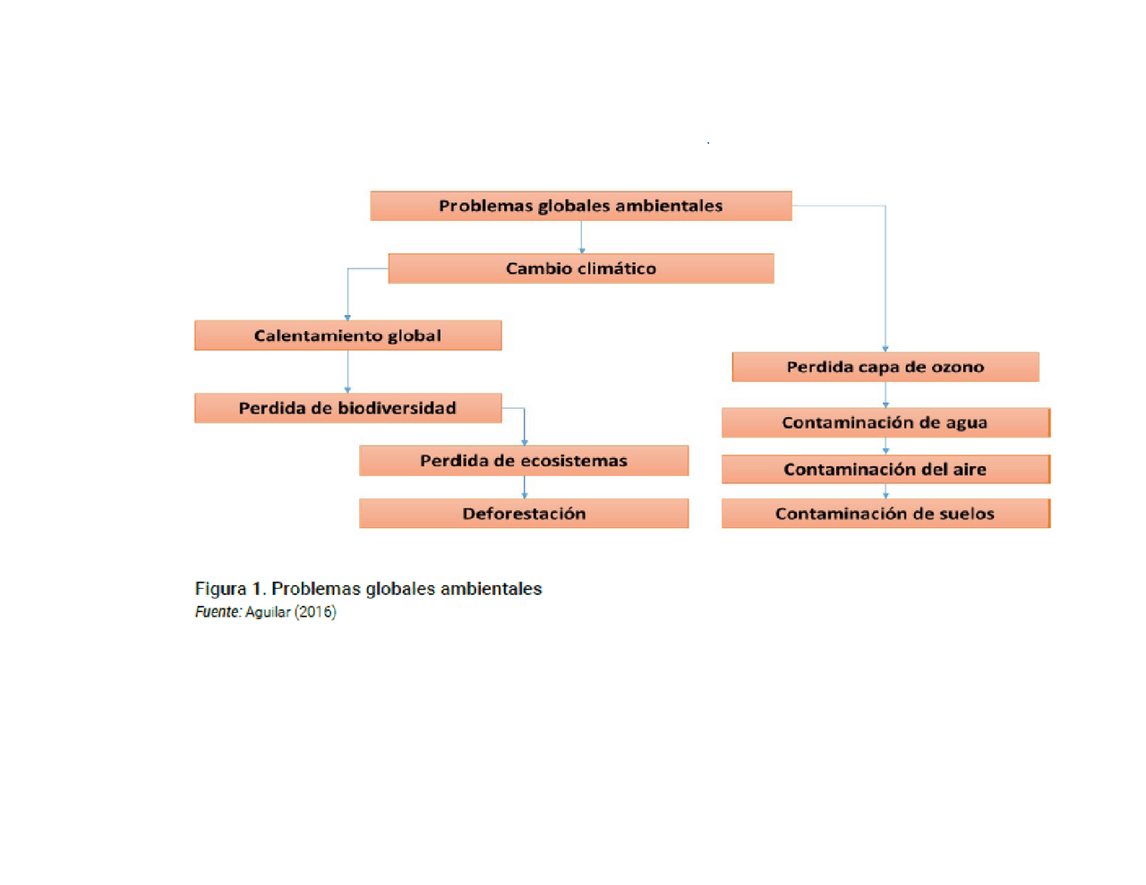 ESQUEMA PROBLEMATICA GLOBAL | Resúmenes de Estudios Culturales | Docsity