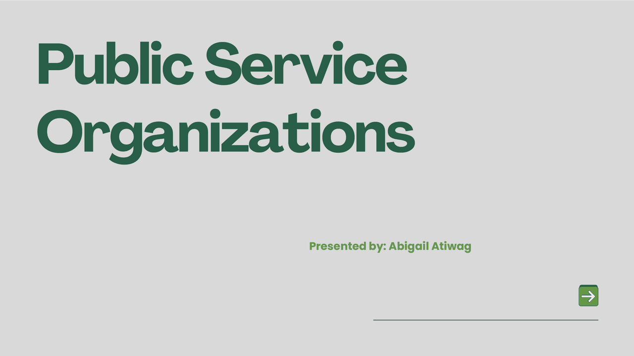 Public Service Organizations: Roles, Functions, and Impact | Slides ...