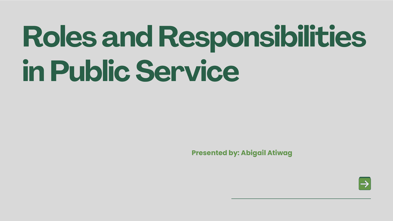 Roles and Responsibilities in Public Service: Effective Governance and ...