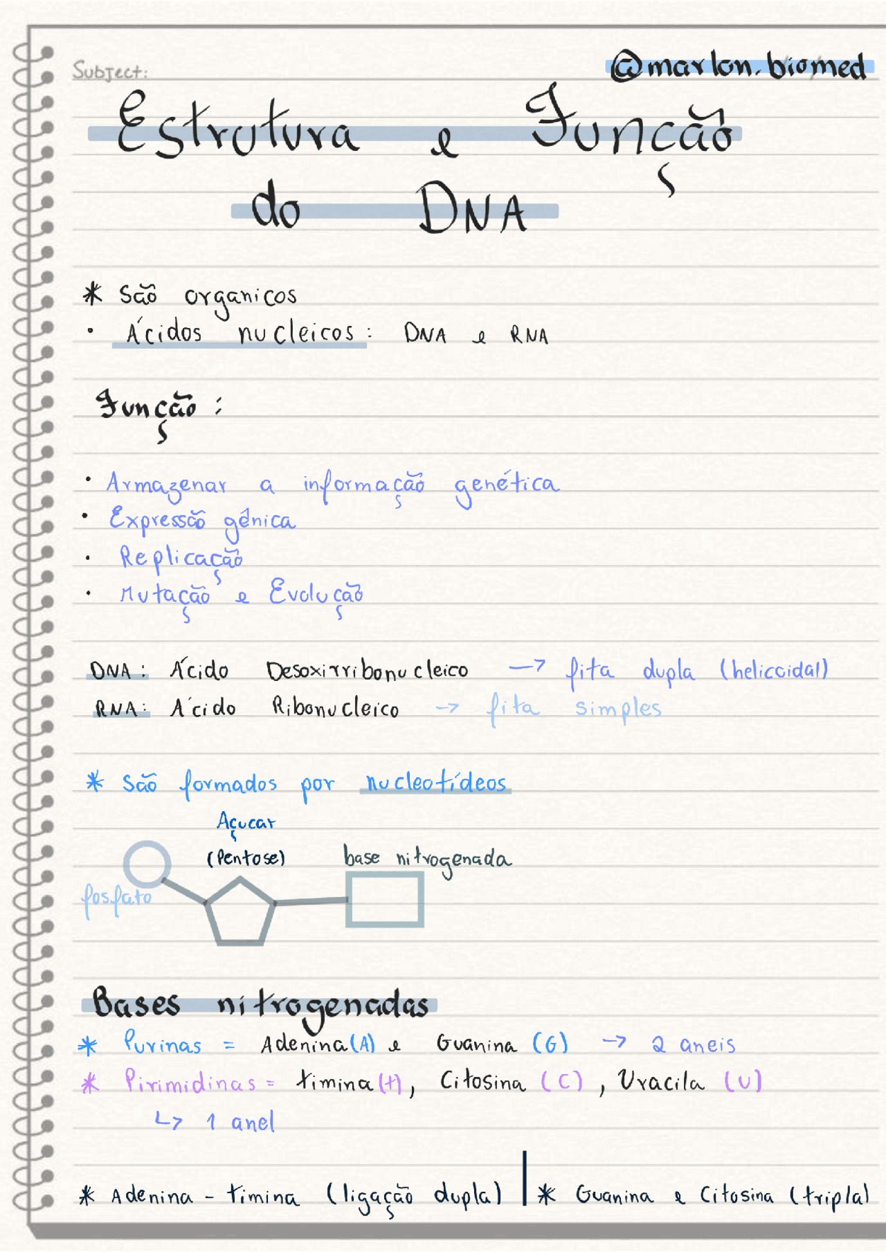 Estrutura e Função do DNA | Notas de estudo Biologia molecular | Docsity