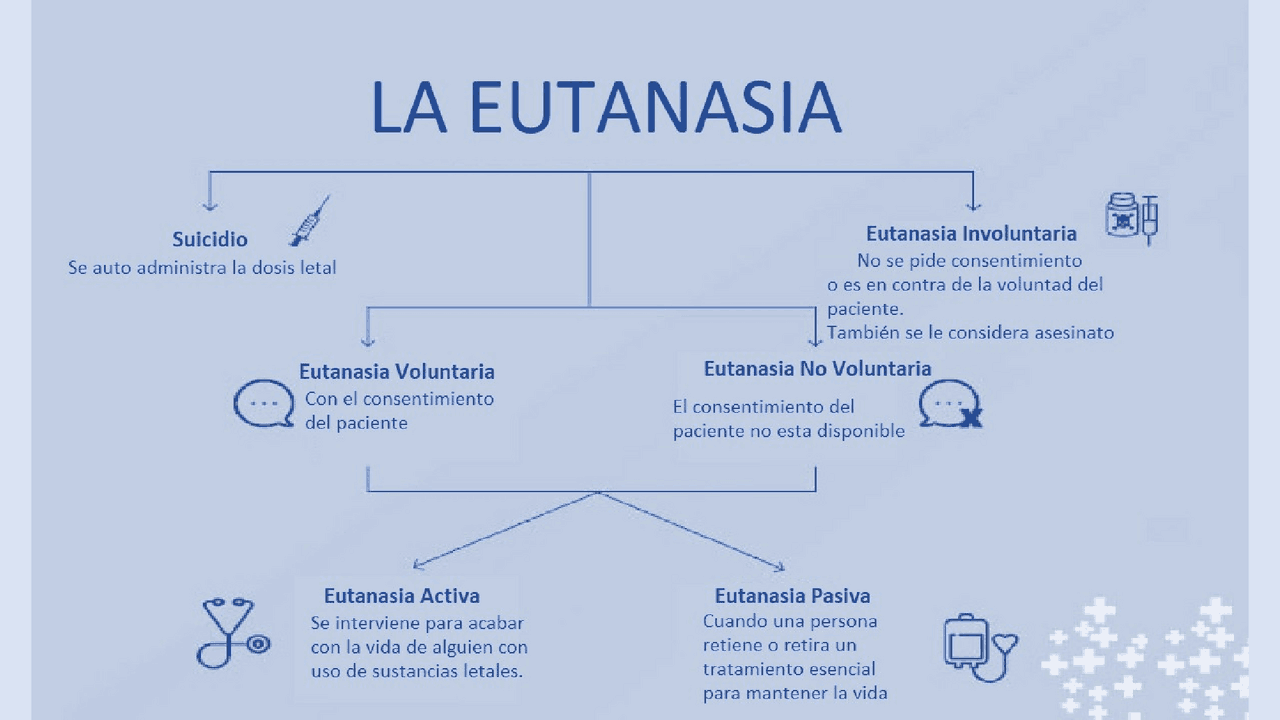 Folleto sobre la eutanasia. | Diapositivas de Humanidades y Ciencias Sociales | Docsity