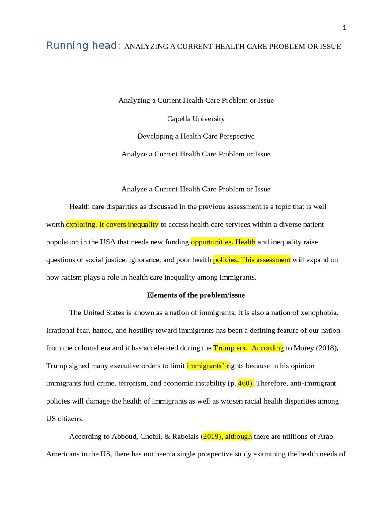 Analyzing a Current Health Care Problem or Issue Capella | Lecture ...