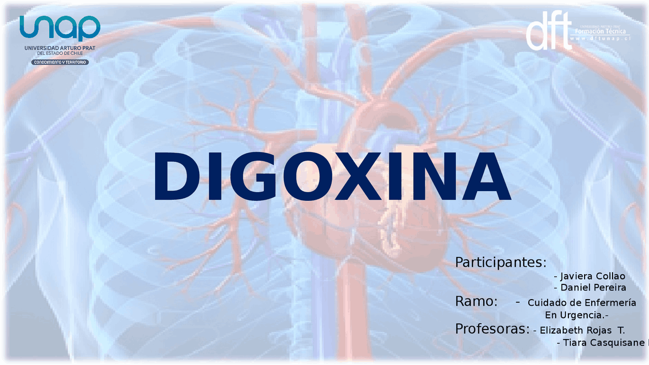Que es, y Detalles de la Digoxina | Resúmenes de Enfermería | Docsity