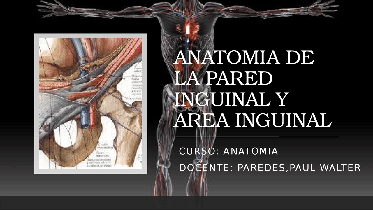 Anatomía de la pared inguinal y área inguinal - Prof. Gonzales ...