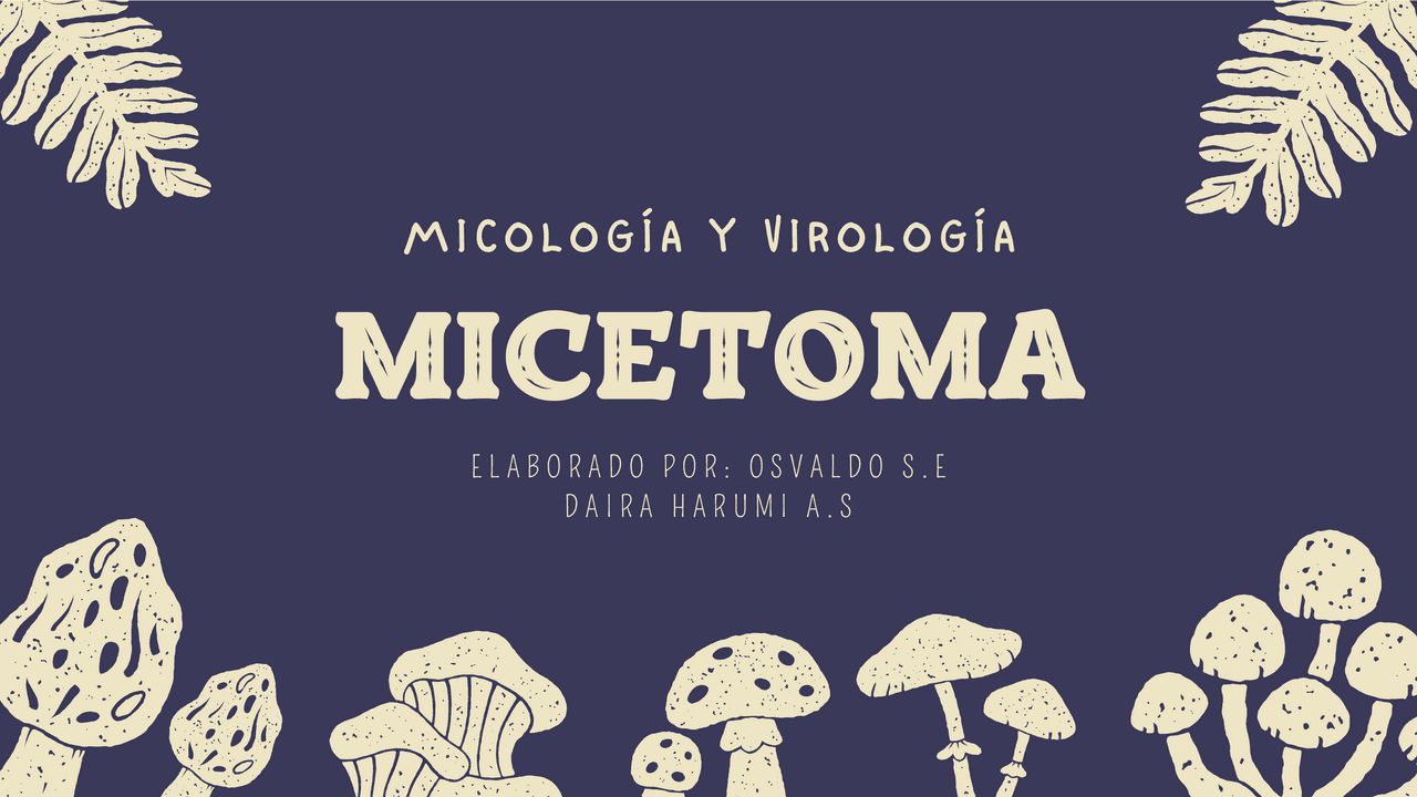 Micetoma: Infección Crónica Progresiva por Hongos o Bacterias ...