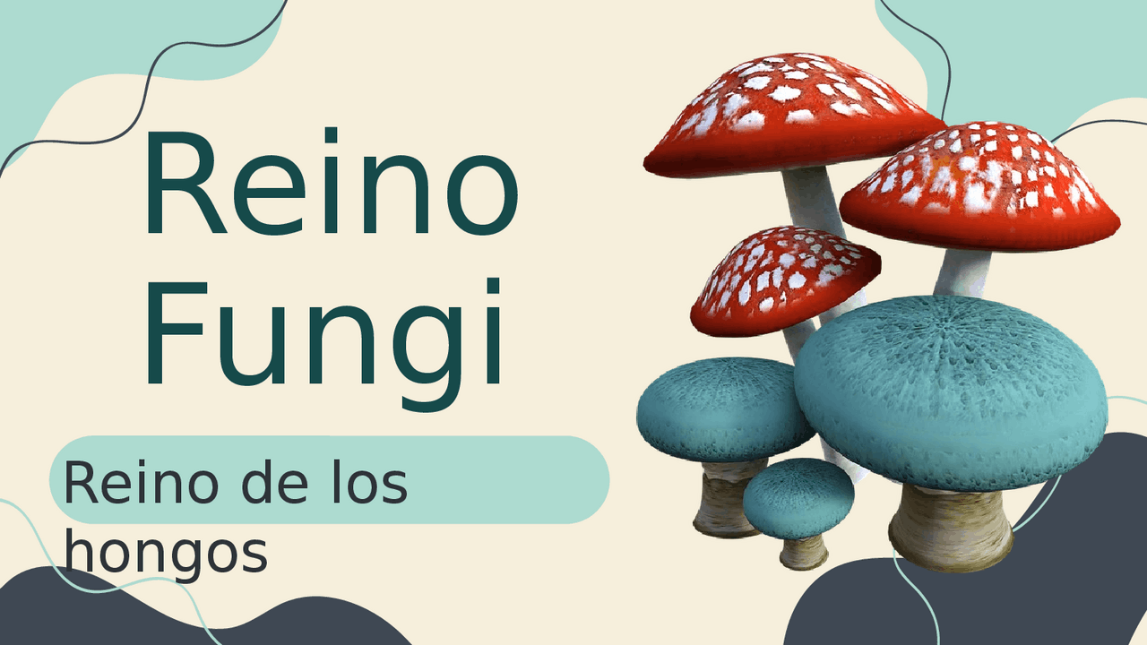 Reino De Los Hongos