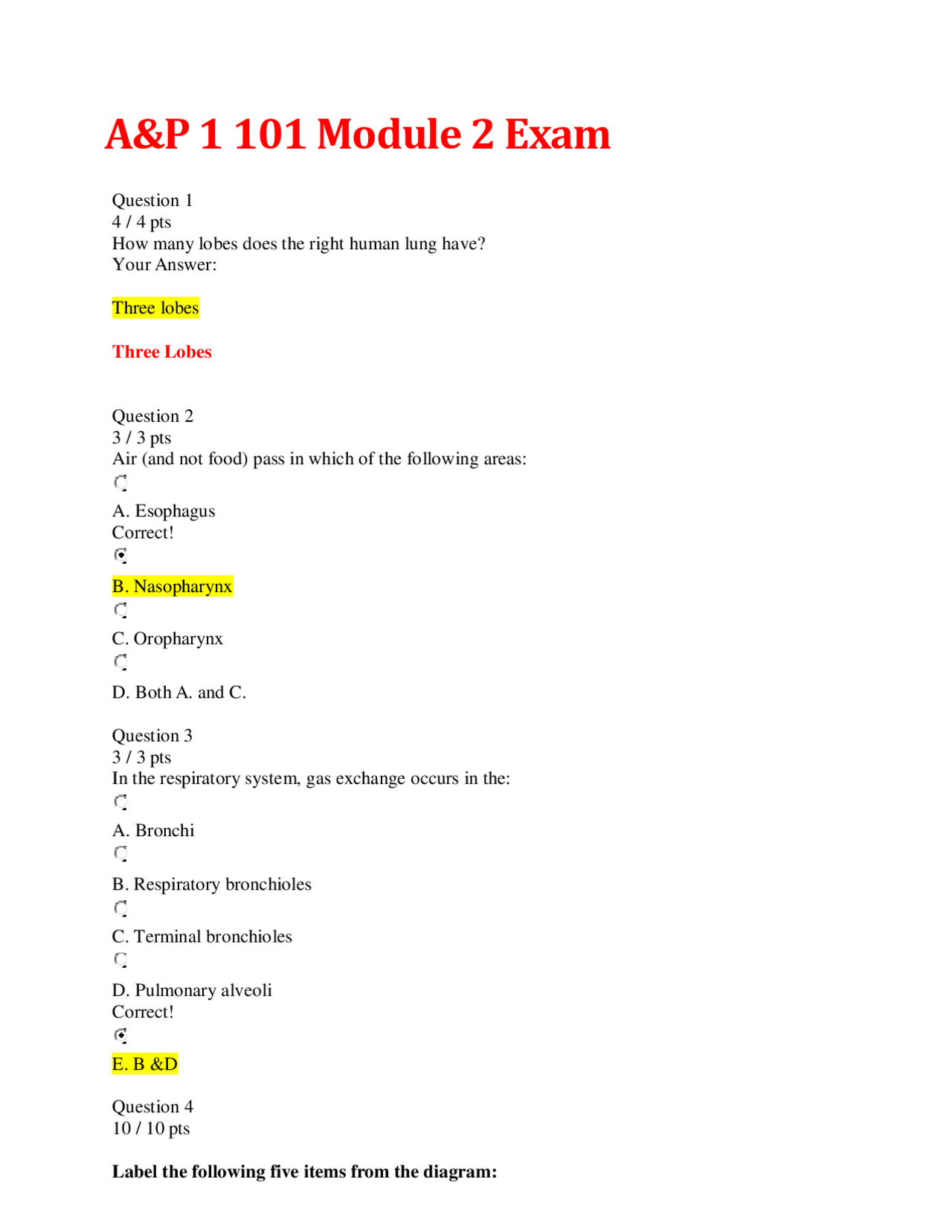 A&P 1 101 Module 2 Exam (GRADED A) Questions and Answers- Portage ...