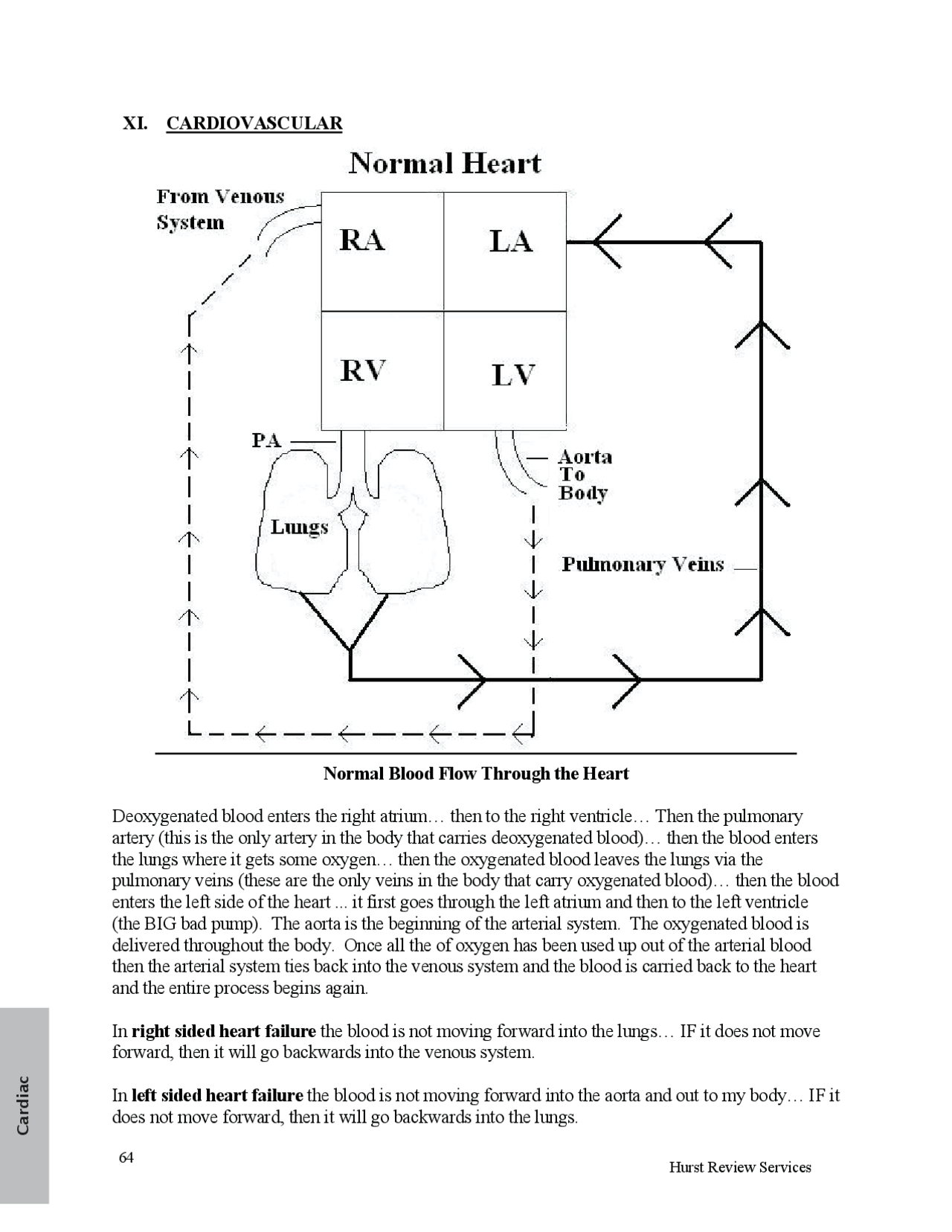 Hurst review part 5-9 | Exams Nursing | Docsity