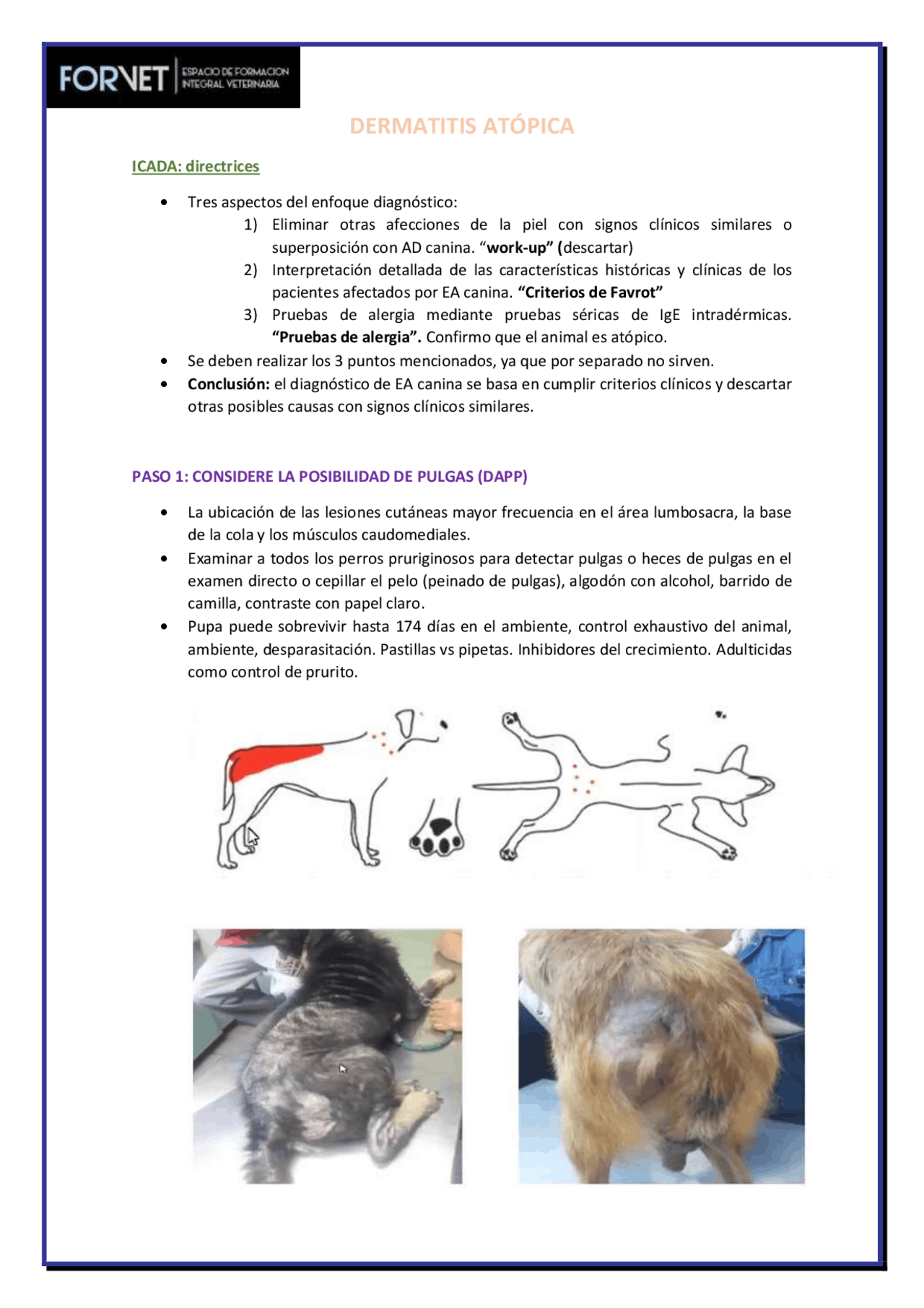 Diagnóstico y Tratamiento de la Dermatitis Atópica Canina - Prof ...