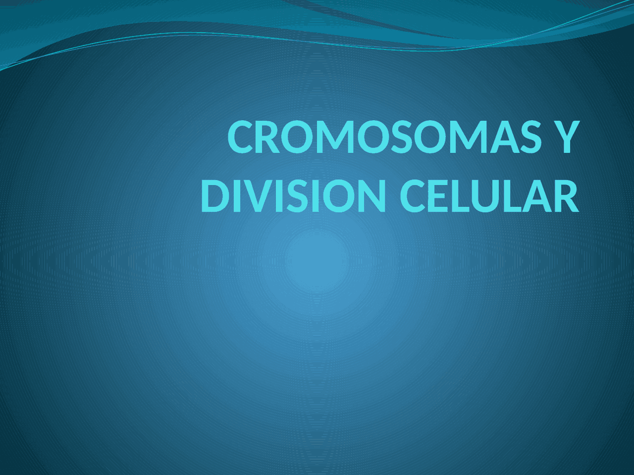 Cromosomas y División Celular | Esquemas y mapas conceptuales de ...