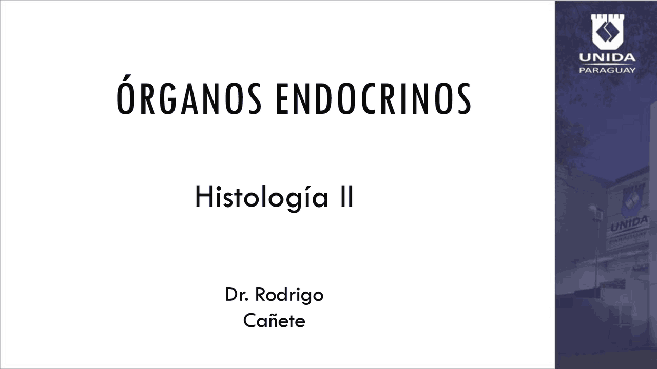 órganos endocrinos - Histología | Diapositivas de Histología | Docsity