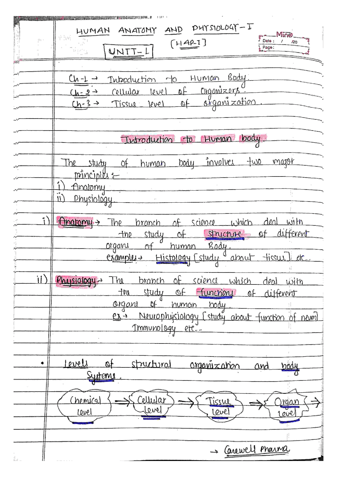 Human anatomy and physiology | Assignments Anatomy | Docsity