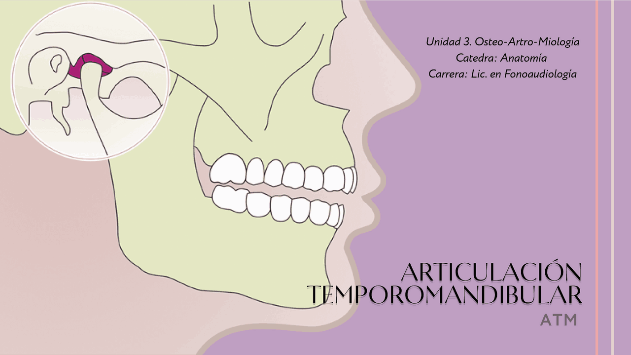 resumen de la articulacion temporomandibular | Esquemas y mapas conceptuales de Anatomía | Docsity