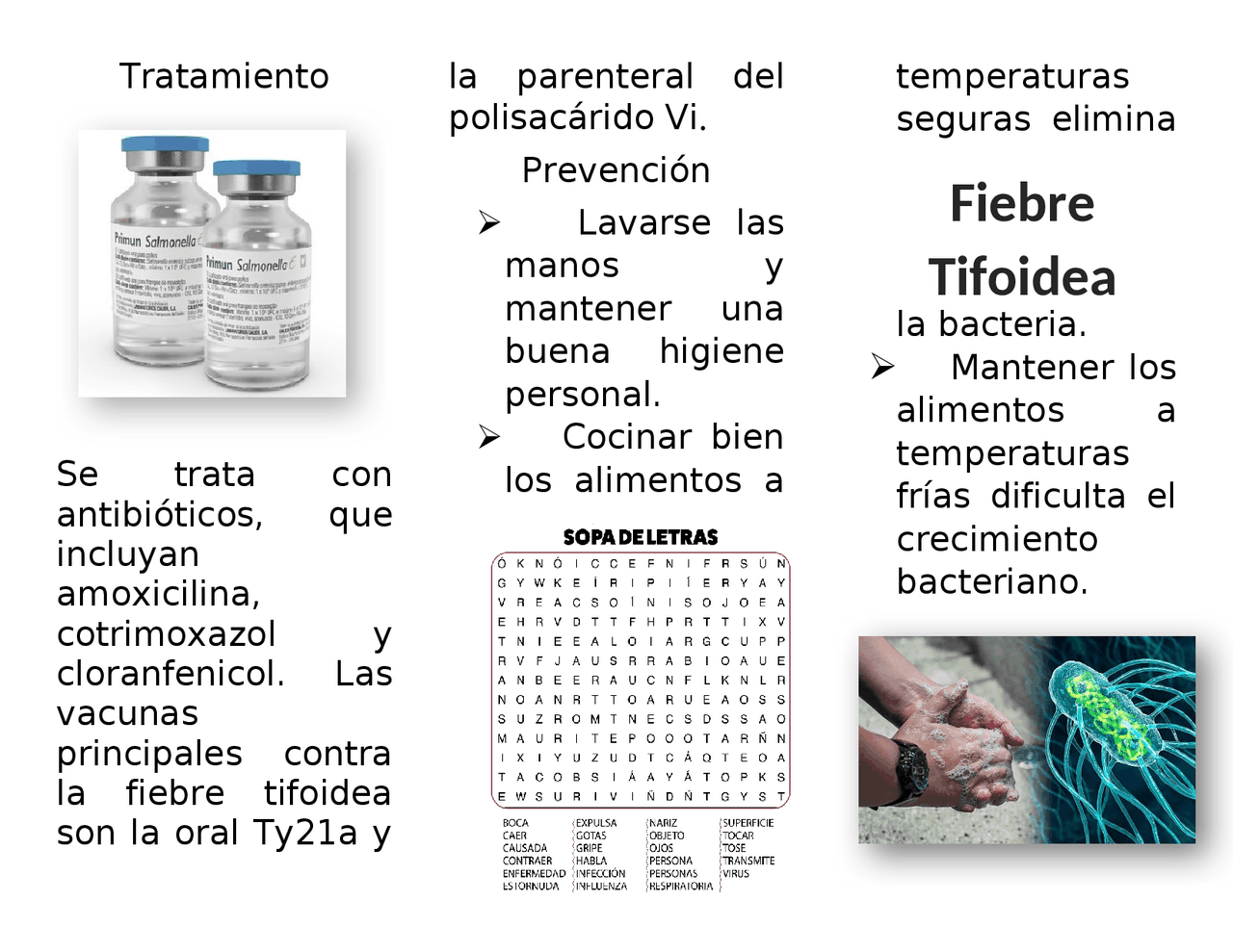 Fiebre tifoidea bacteria | Monografías, Ensayos de Genética | Docsity