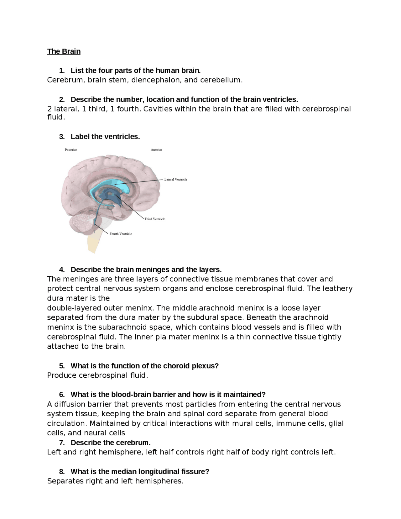 BIOD 152 AP Module 2 Questions and answers: The brain SUMMER 2024 ...
